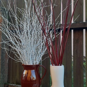 Large Red Dogwood Branches Red Twigs White Birch Twigs Bundle Rustic ...
