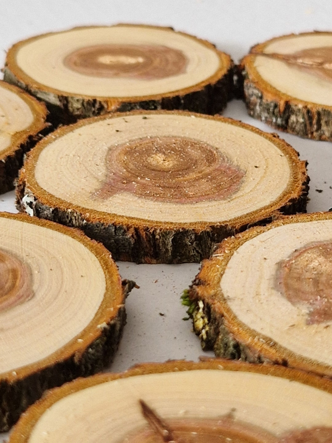 Wooden Slices Set of 16 Plum Tree Slices Wooden Wall Panel Art Wood ...