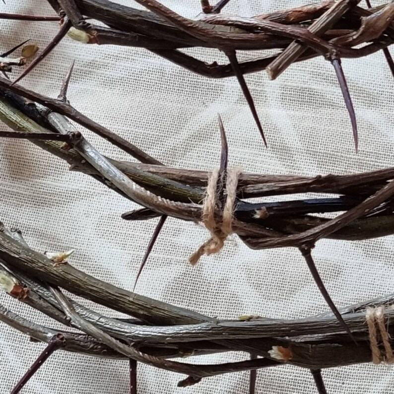 Crown of thorns natural sharp wreath thorned crown crataegus | Etsy