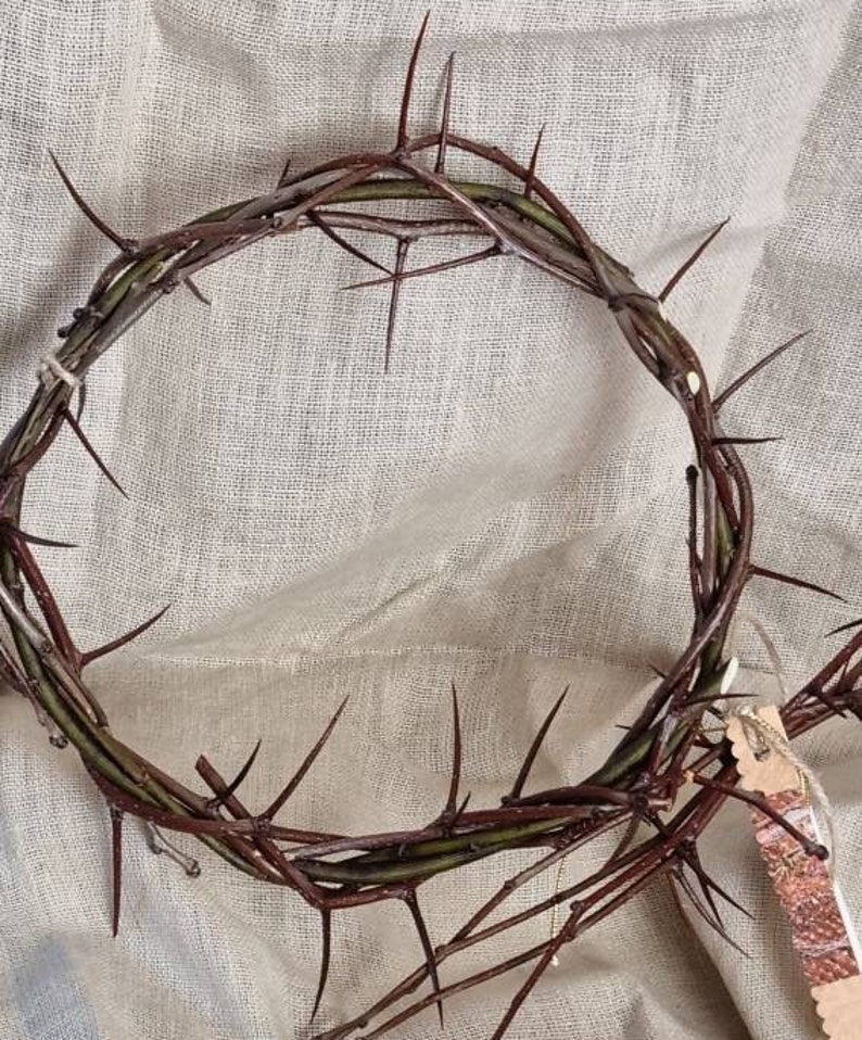 Crown of Thorns Natural Sharp Wreath Thorned Crown Crataegus - Etsy