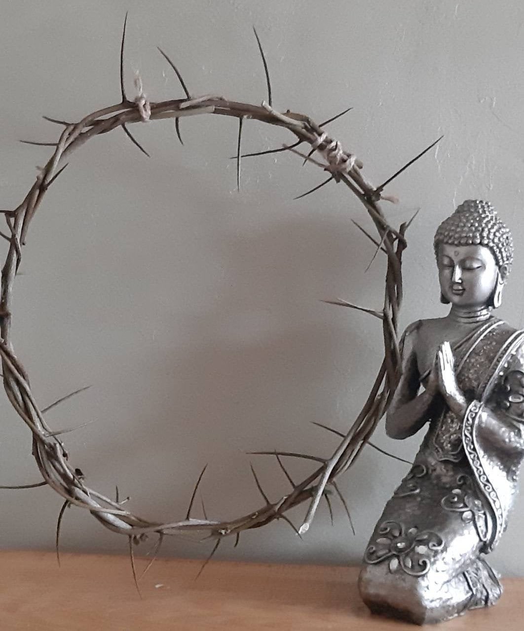 Crown of Thorns Natural Sharp Wreath Thorned Crown Crataegus Hawthorn ...