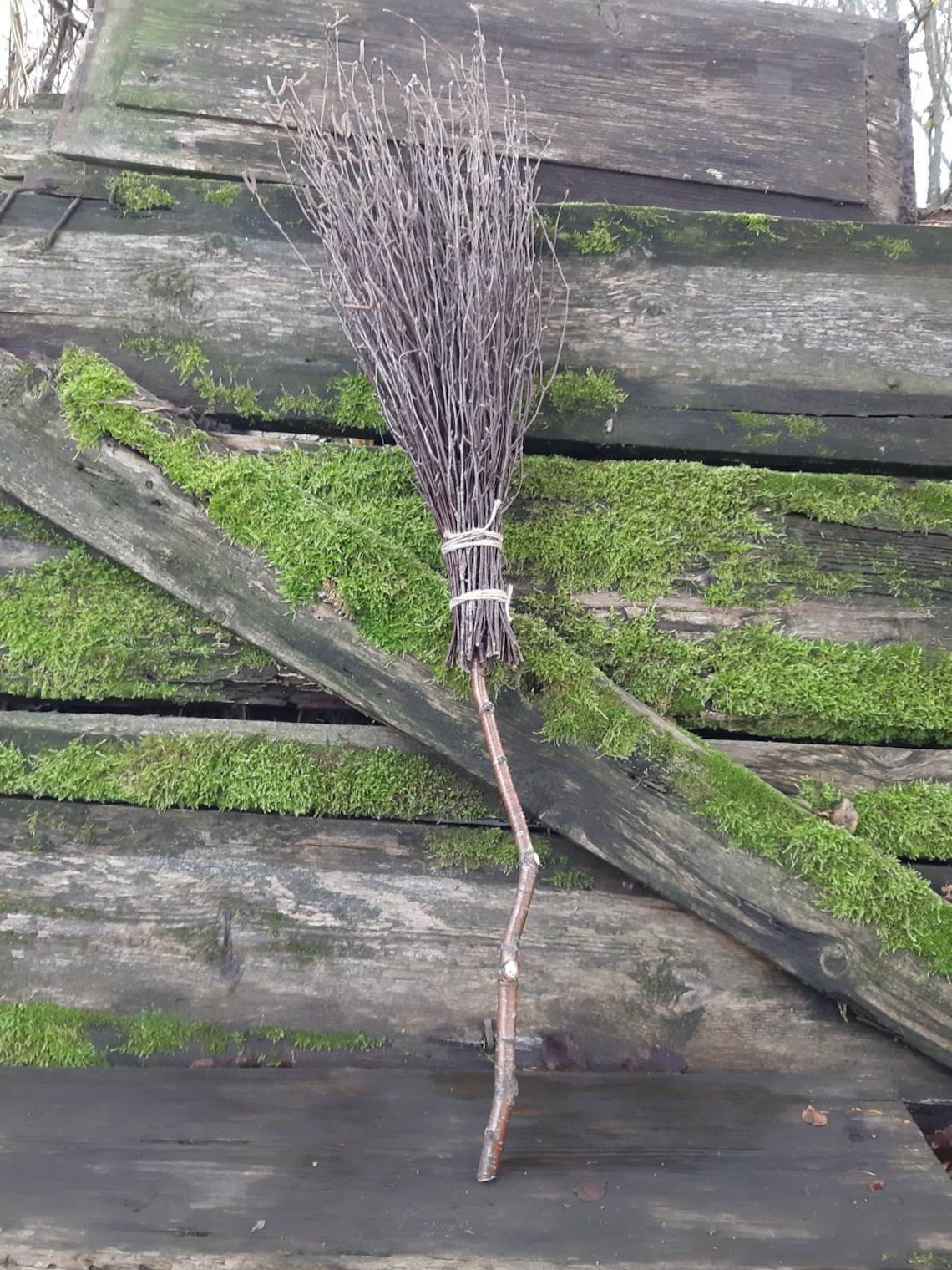 Birch broom witches broom natural birch branches birch twigs | Etsy