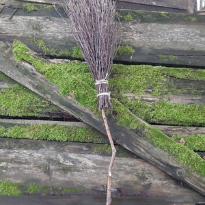 Birch Broom Witches Broom Natural Birch Branches Birch Twigs Broom ...