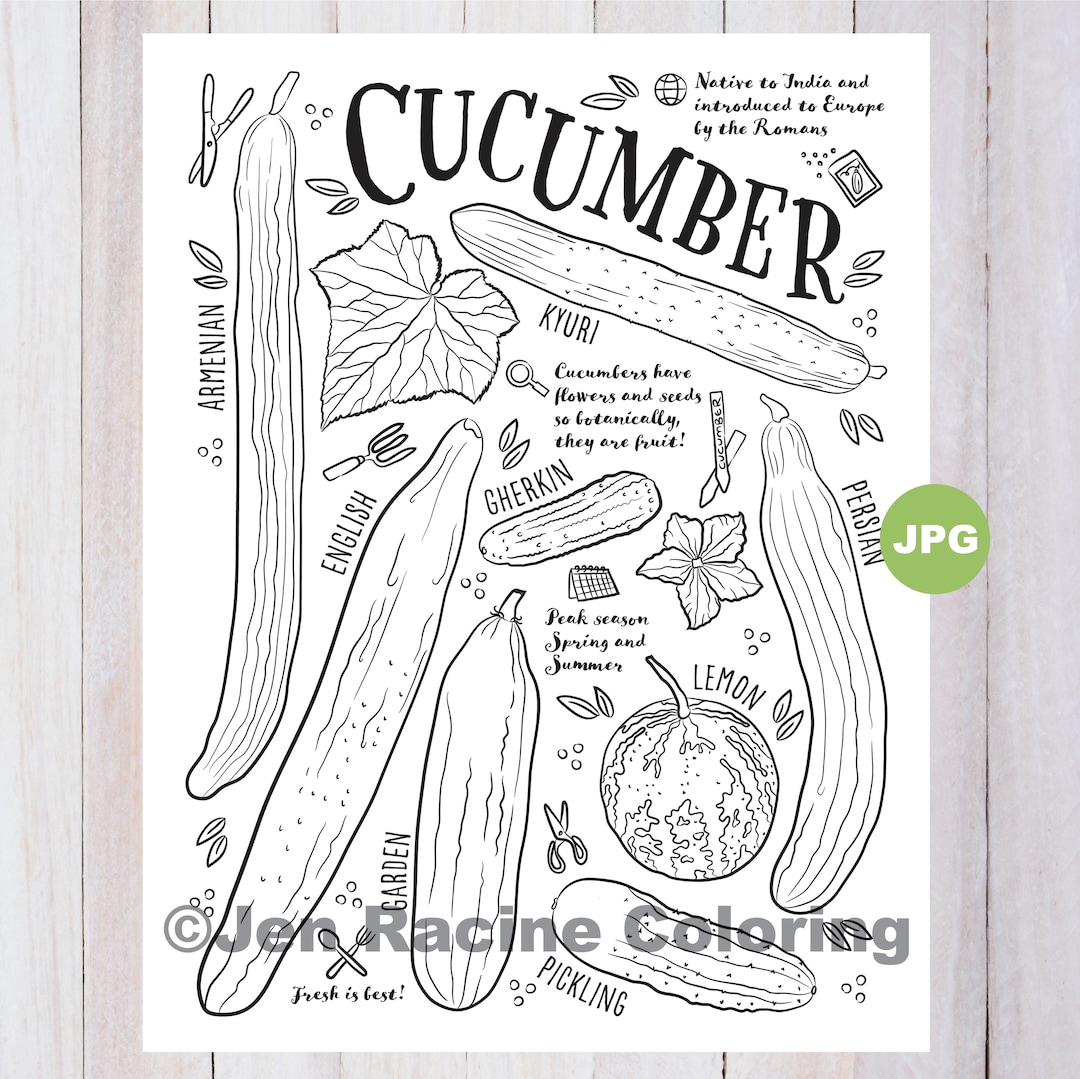 Cucumber Coloring Page, Vegetable Coloring Page, Garden, Gardening ...