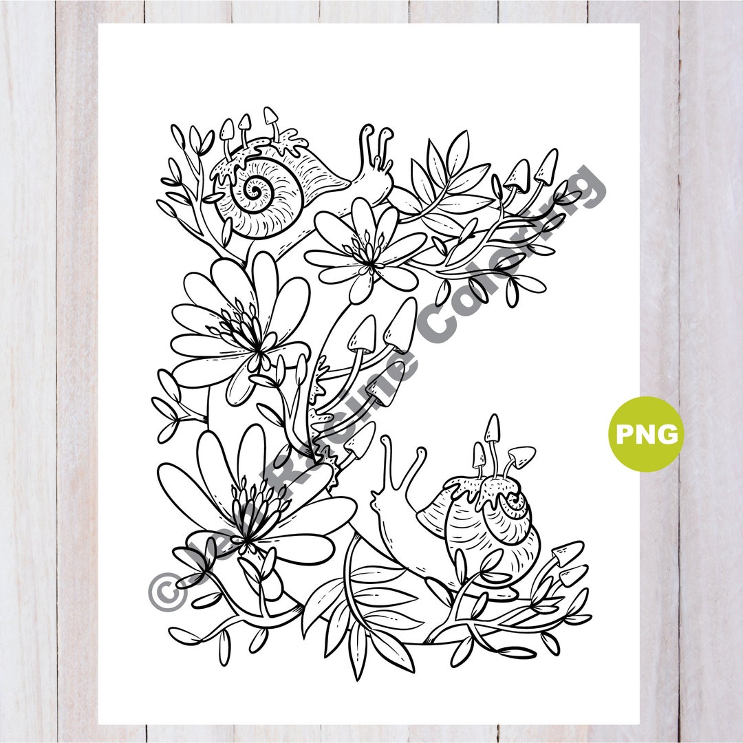 Snails on a Floral Moon Coloring Page, Digital Download, PNG - Etsy