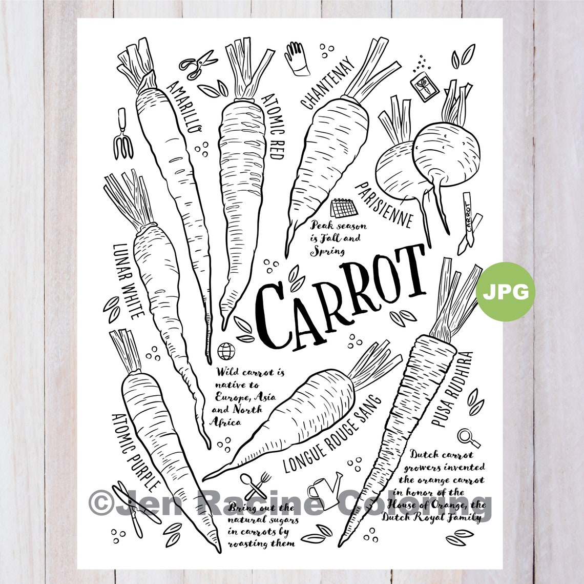 Carrot Coloring Page, Vegetable Coloring Page, Garden, Gardening ...