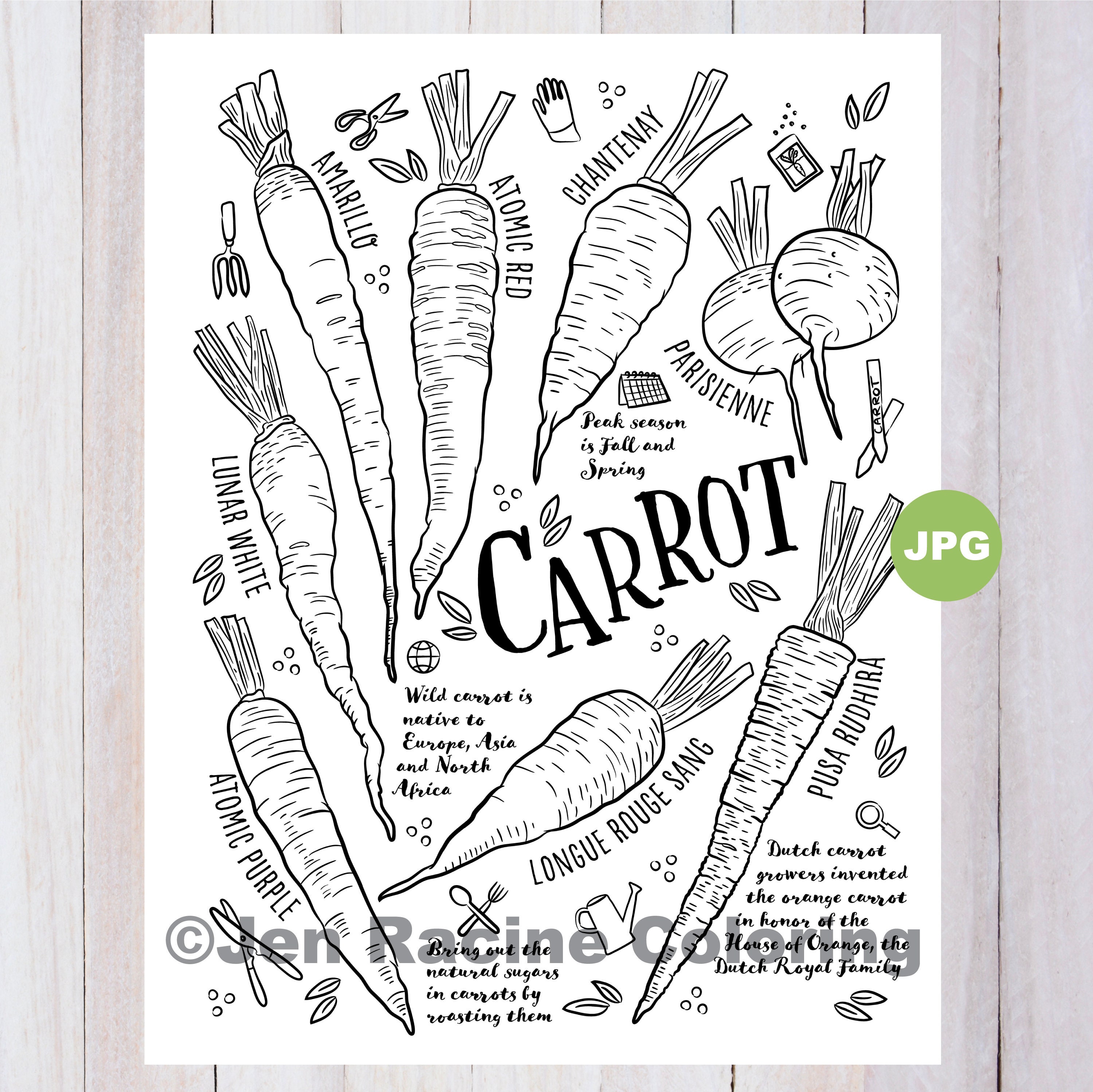 Carrots Coloring Pages