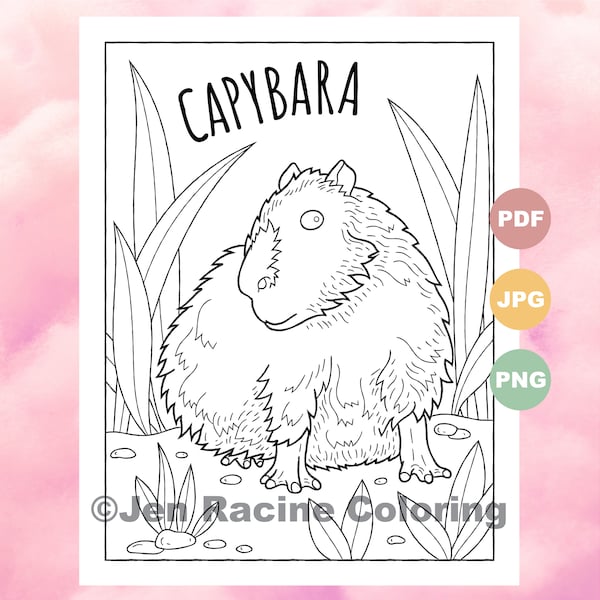 Capybara Coloring Page - Etsy Ireland