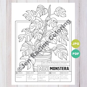 Mini Monstera Coloring Page, Plants, Indoor Plant, Houseplant Art ...