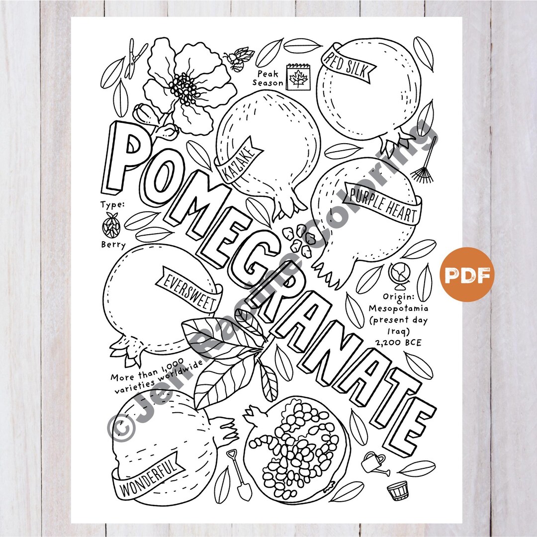 Pomegranate Coloring Page, Fruit Coloring Page, PDF Digital Download ...
