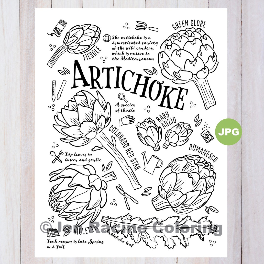 Artichoke Coloring Page, Vegetable Coloring Page, Garden, Gardening ...