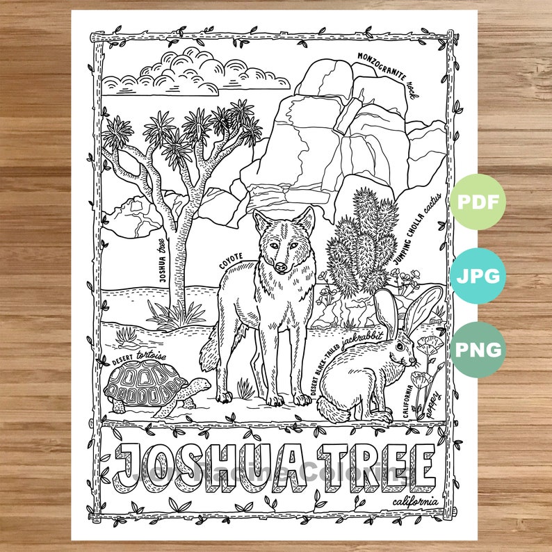 Joshua Tree National Park Coloring Page, Animals and Plants (printable ...