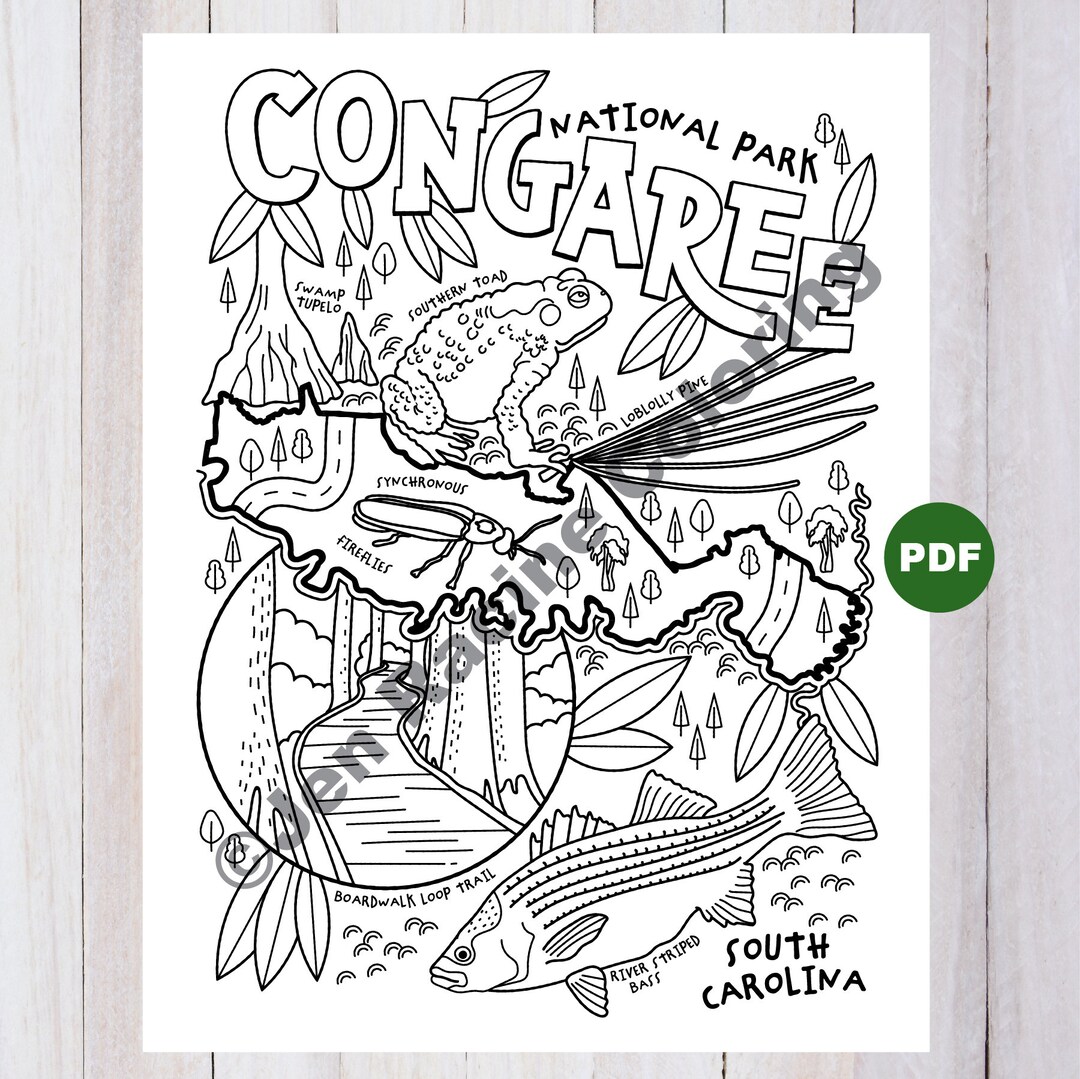 Congaree National Park Coloring Page - Etsy