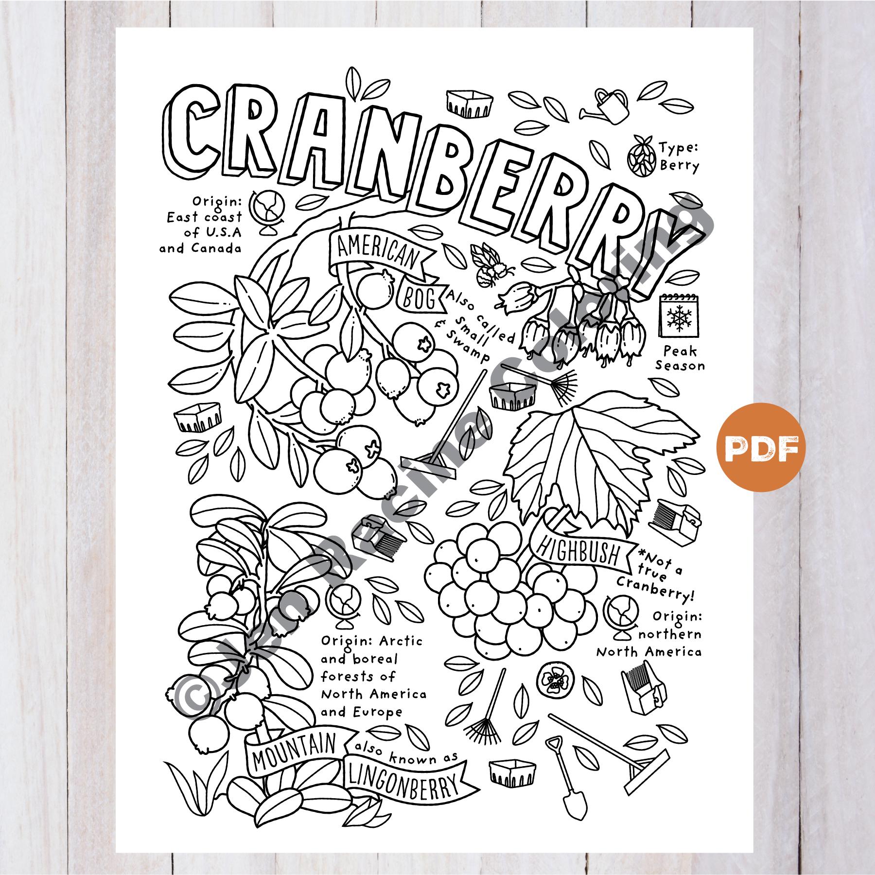 Cranberry Varieties Coloring Page, Informative Fruit Art (PDF Digital ...