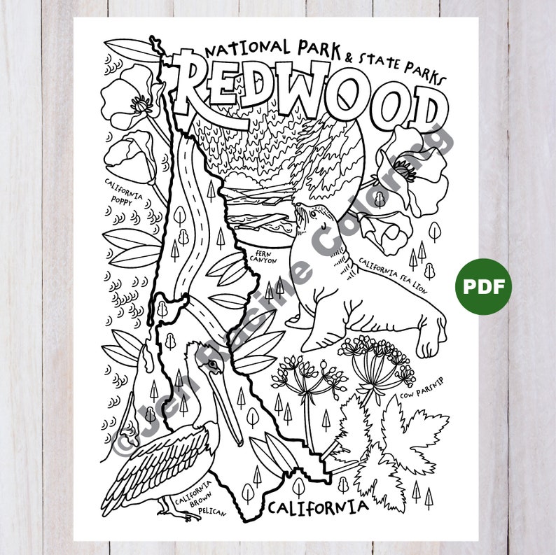 Redwood National Park Coloring Page - Etsy