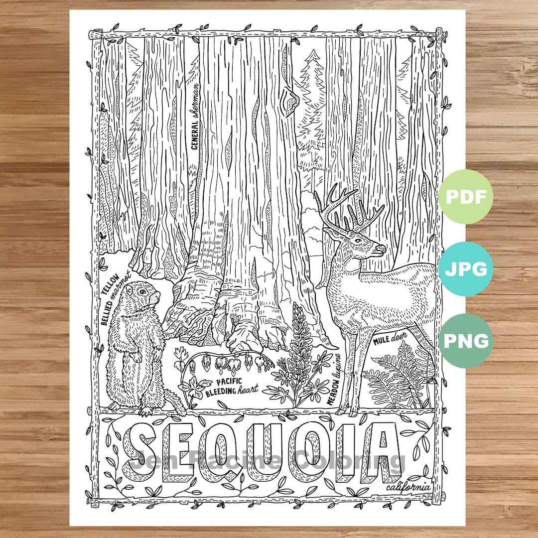 National Park Coloring Page, Sequoia, California, National Park ...