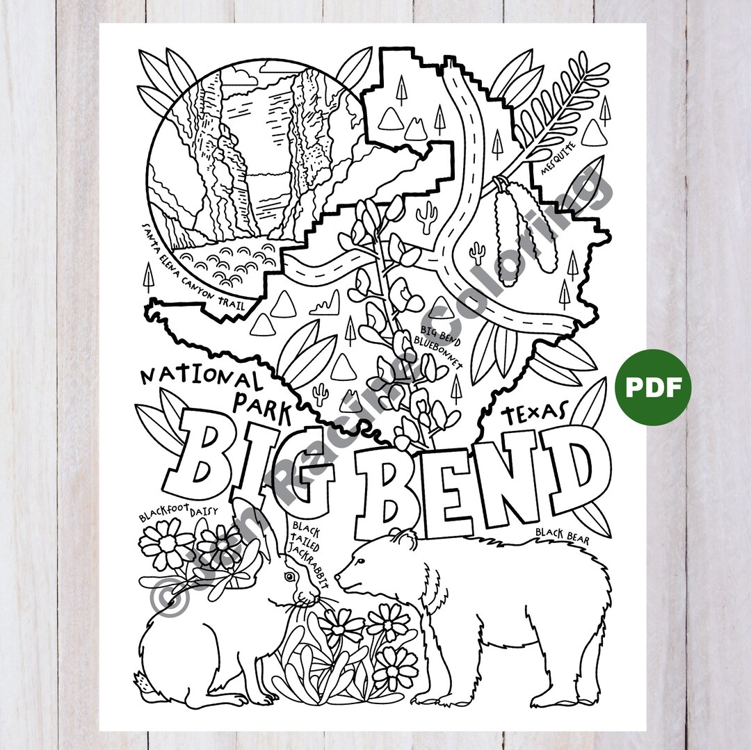 Big Bend National Park Coloring Page - Etsy