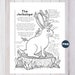 Jackalope Coloring Page, Magical Animal, Angora Rabbit, Coloring Page ...