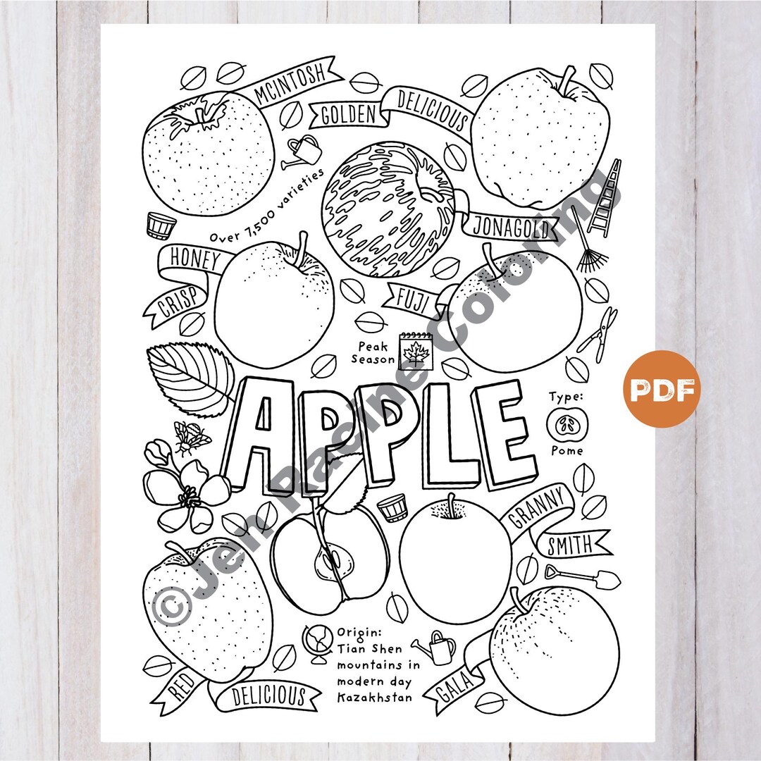 Apple Coloring Page, Fruit Coloring Page, PDF Digital Download Coloring ...