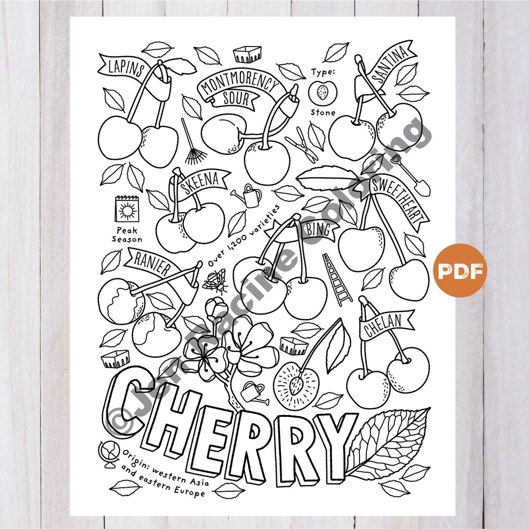 Cherry Varieties Coloring Page, Fruit Learning Art (PDF Digital ...