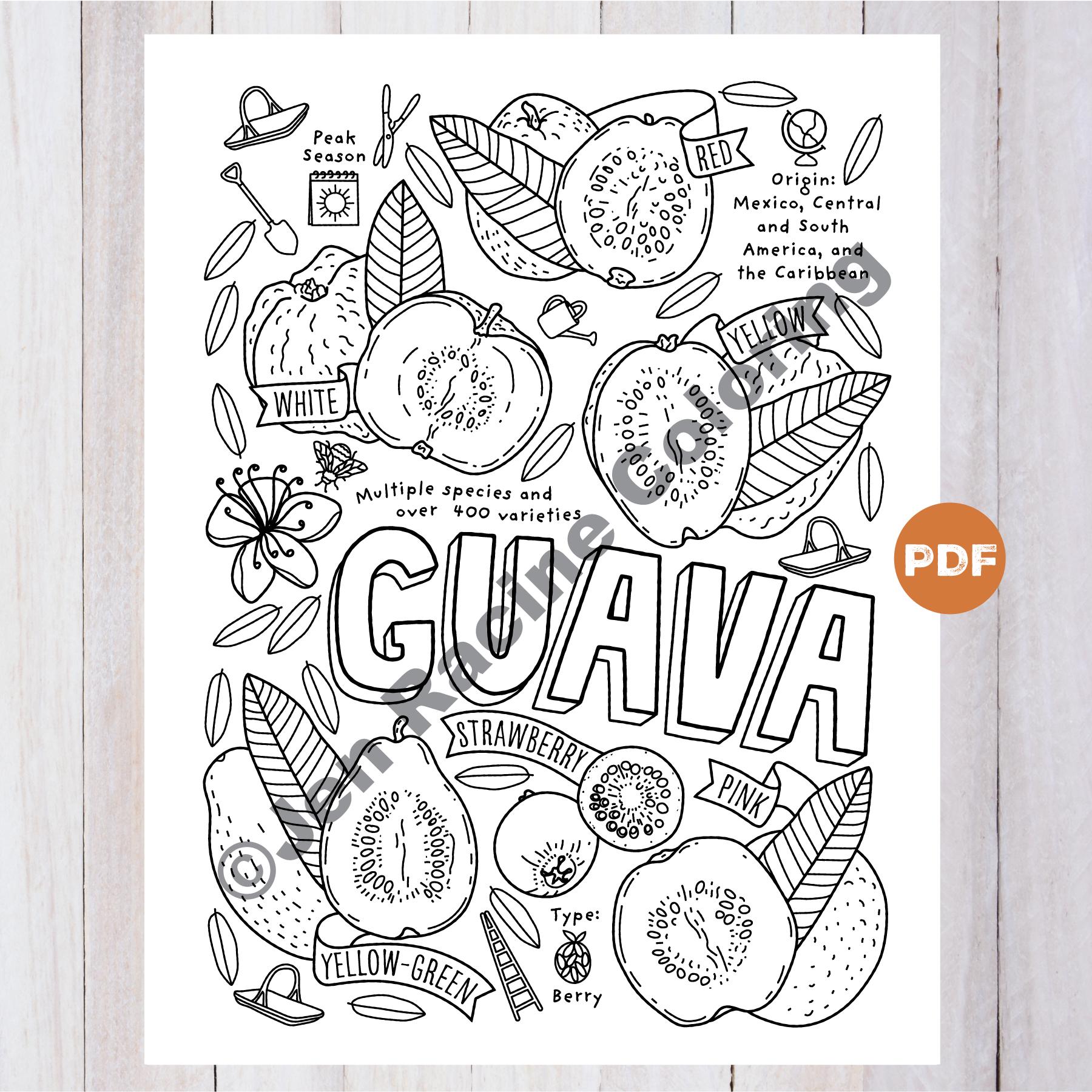 Guava Coloring Page