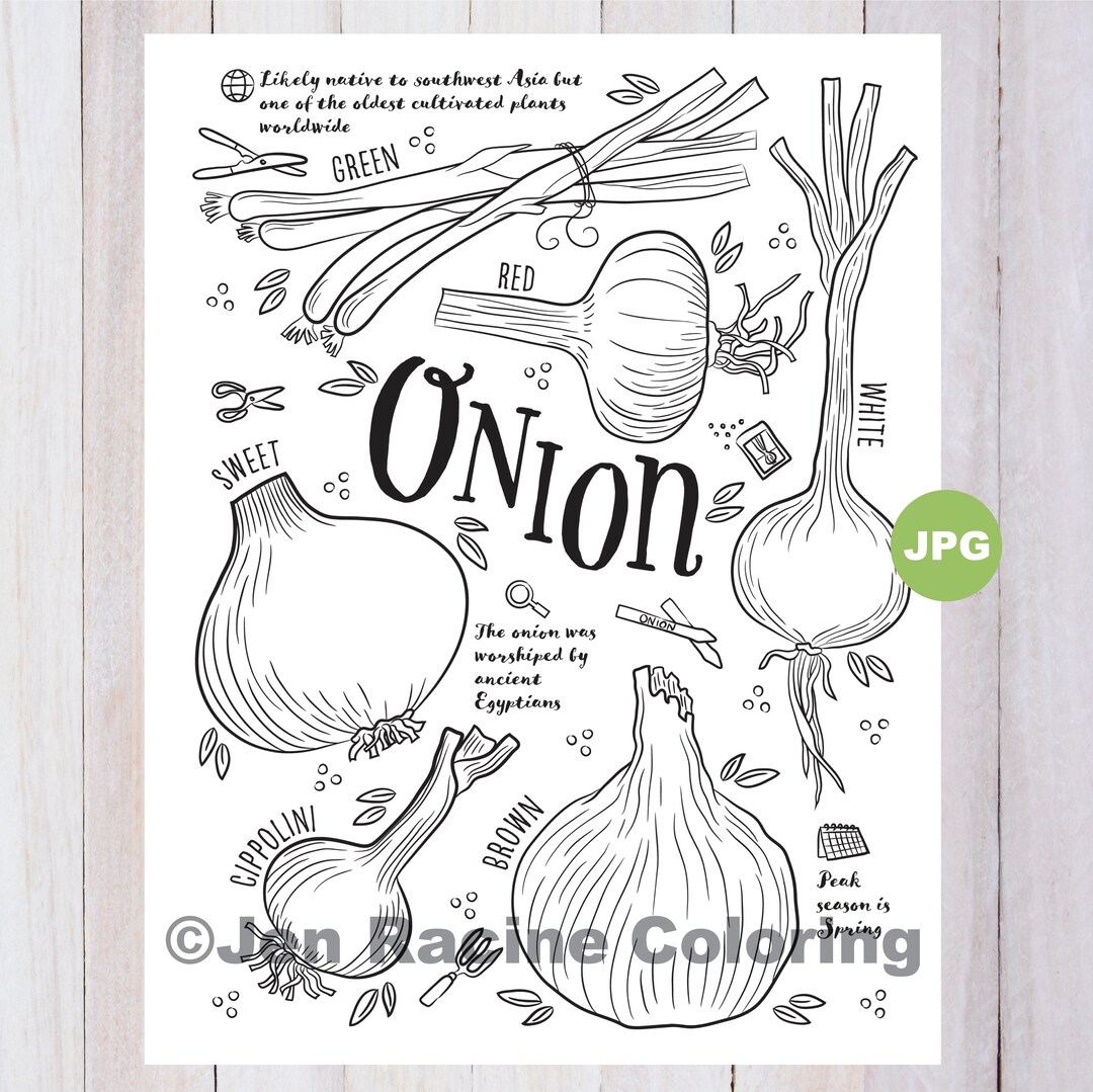 Onion Coloring Page, Vegetable Coloring Page, Garden, Gardening ...