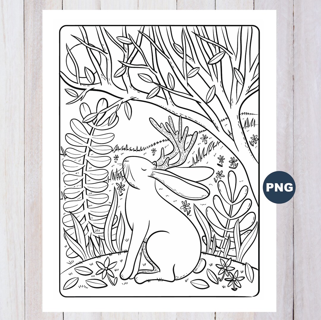 Jackalope in a Meadow Coloring Page, Magical Animal, Rabbit, Coloring ...