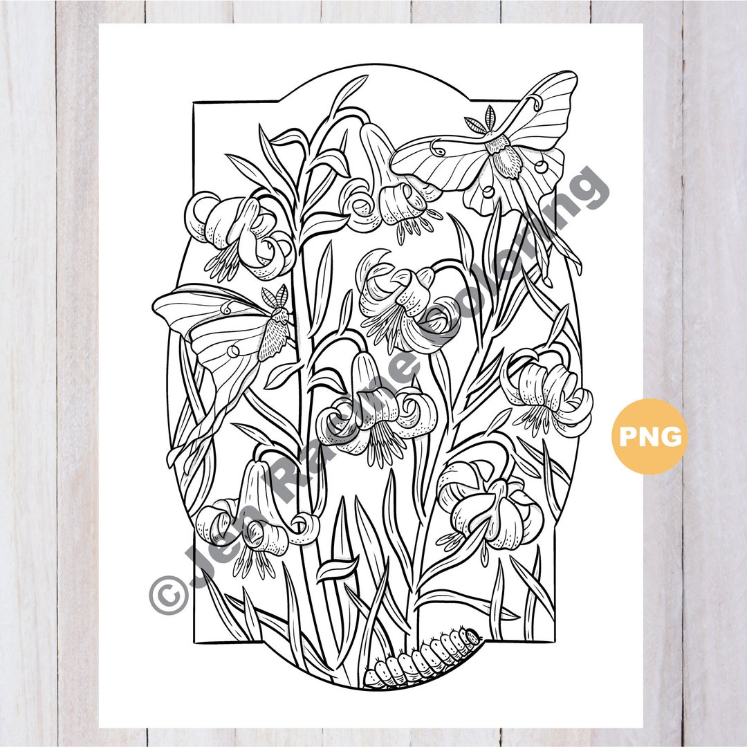 Tiger Lilies With Luna Moths and Caterpillar Coloring Page, Digital ...