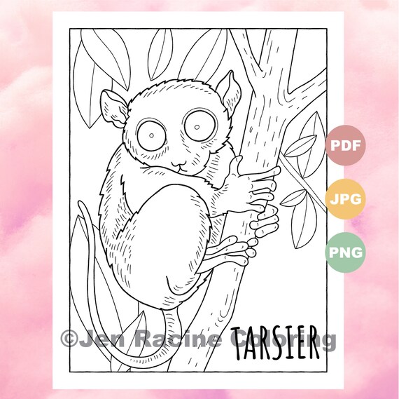 Tarsier Coloring Page