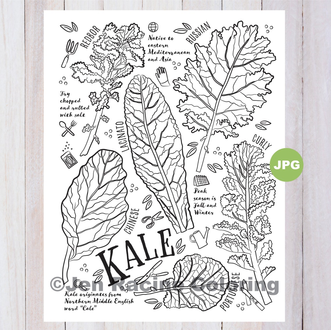 Kale Coloring Page Vegetable Coloring Page Garden - Etsy Canada