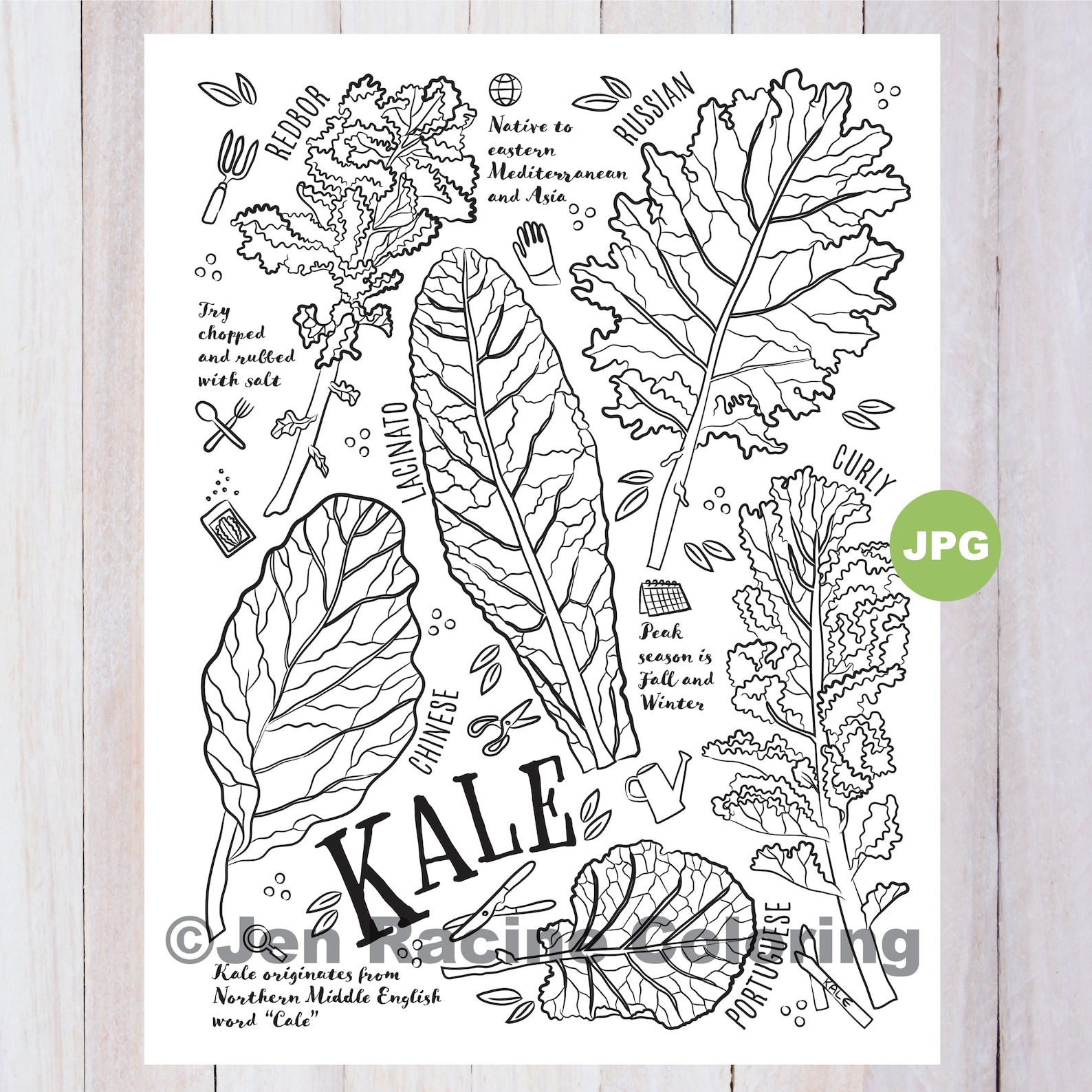 Kale Coloring Page Vegetable Coloring Page Garden - Etsy Canada