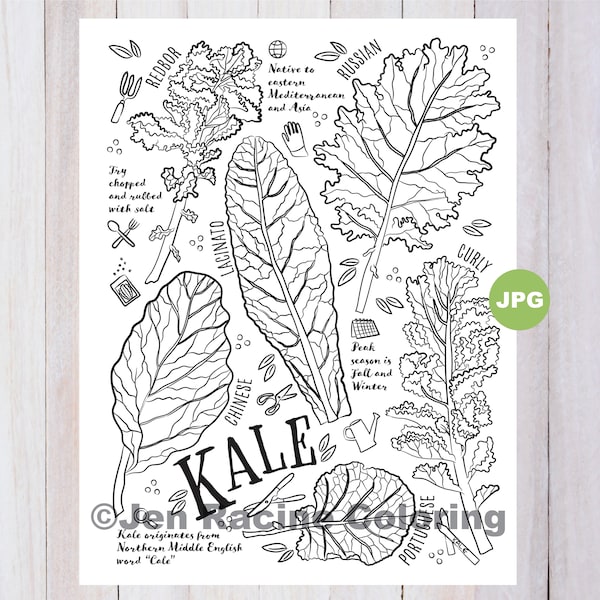 Garden Coloring Page - Etsy