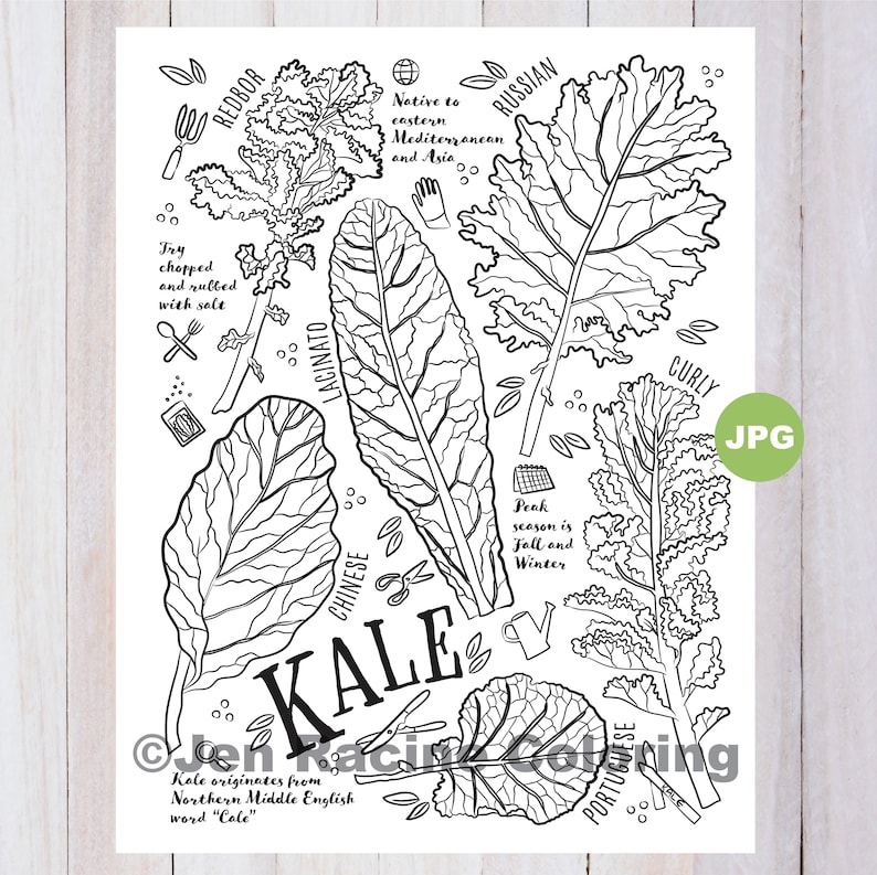 Kale Coloring Page Vegetable Coloring Page Garden - Etsy Canada