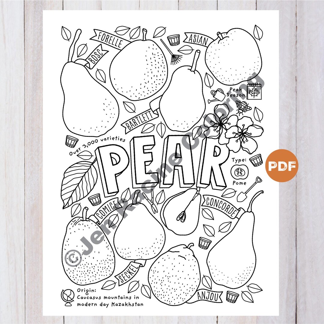 Pear Coloring Page, Fruit Coloring Page, PDF Digital Download Coloring ...