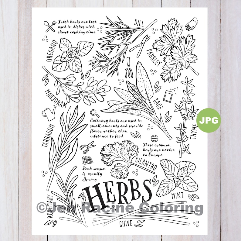 Herbs Coloring Page, Garden Vegetable Art (PDF Download) - Etsy