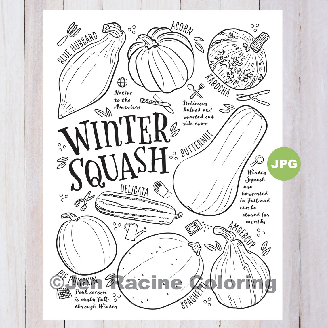 Squash Coloring Page Winter Squash Vegetable Coloring Page - Etsy