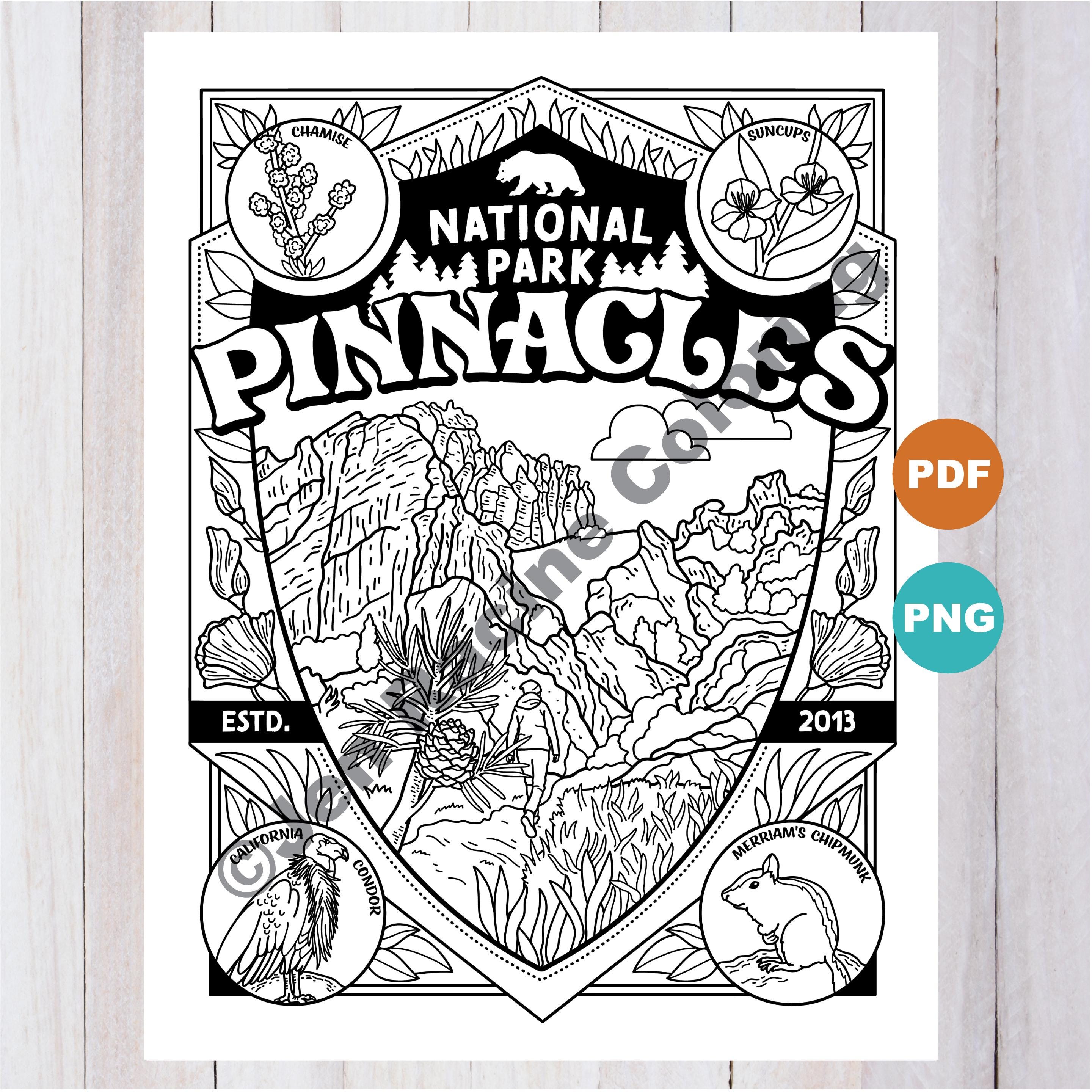 Pinnacles National Park Coloring Page (digital Download) - Etsy