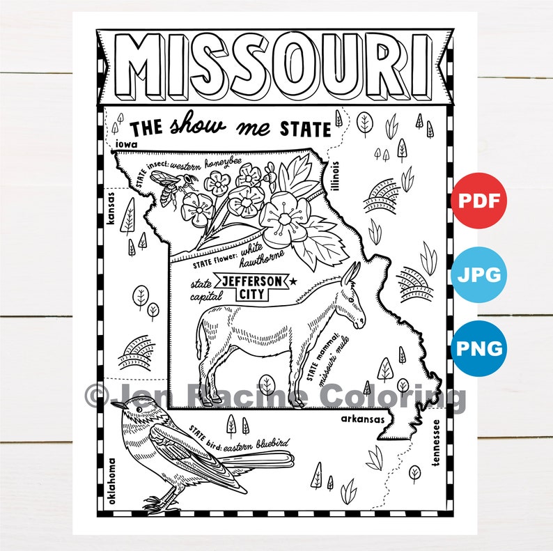 Missouri Coloring Page United States State Map Wildlife - Etsy UK