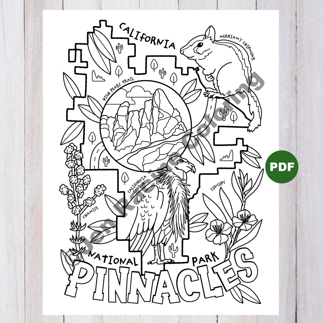 Pinnacles National Park Coloring Page - Etsy