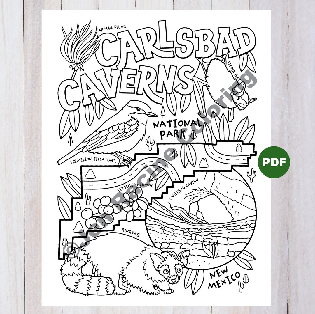 Carlsbad Caverns National Park Coloring Page - Etsy