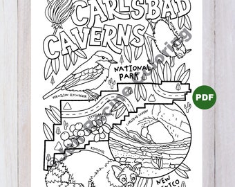 Carlsbad Caverns National Park Coloring Page - Etsy