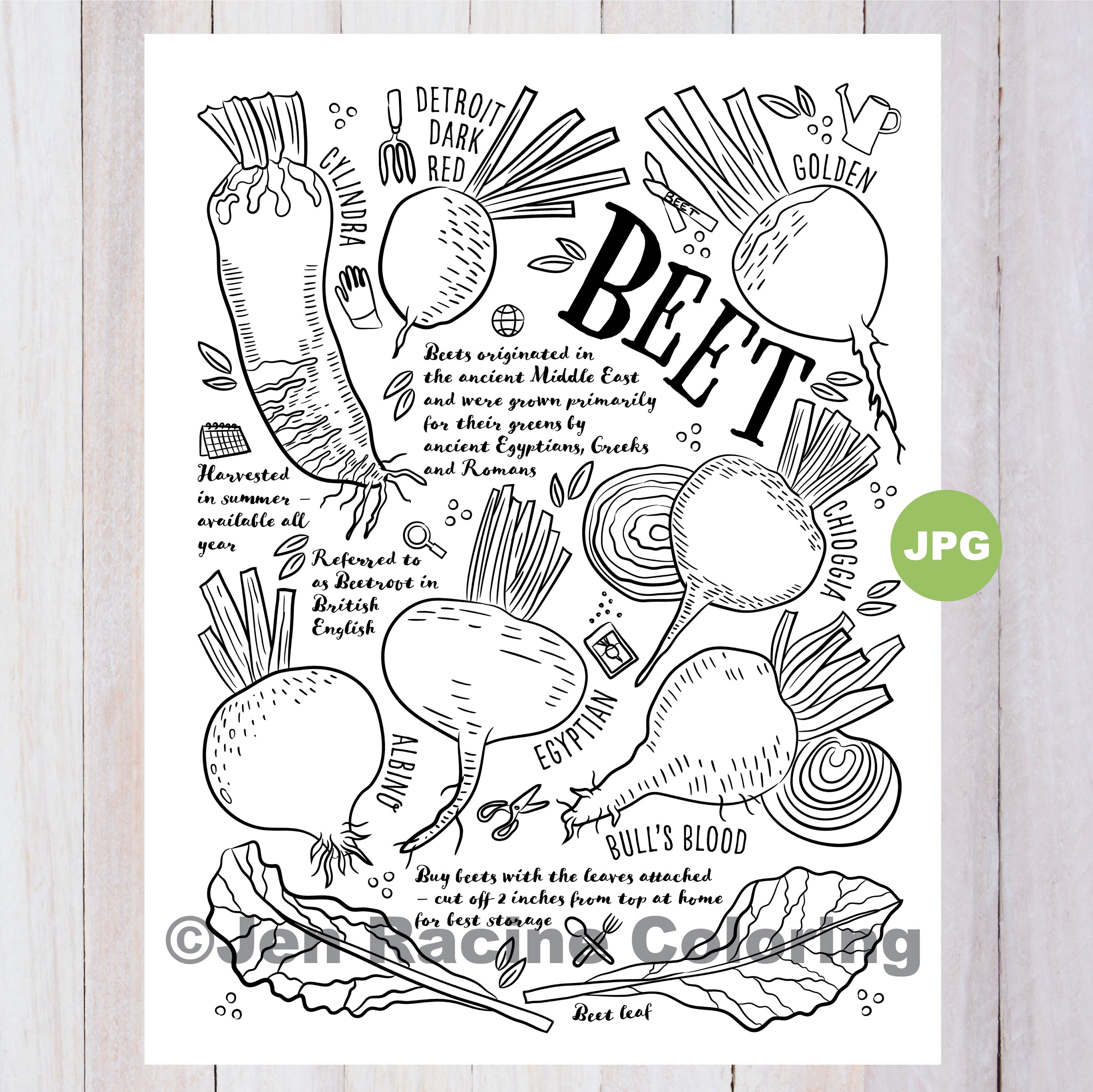 Beet Coloring Page