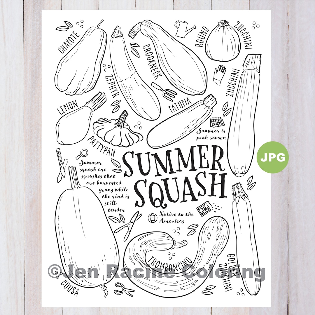 Squash Coloring Page, Summer Squash, Vegetable Coloring Page, Garden ...