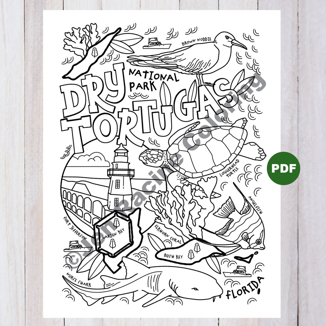 Dry Tortugas National Park Coloring Page - Etsy