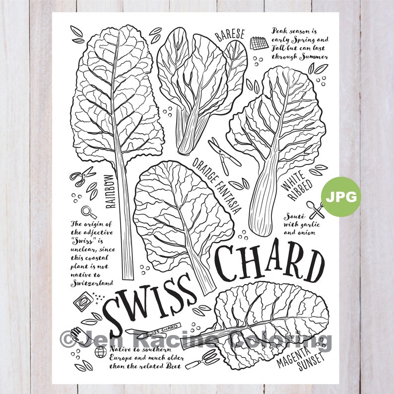 Swiss Chard Coloring Page, Garden Vegetable Art (PDF Download) - Etsy UK