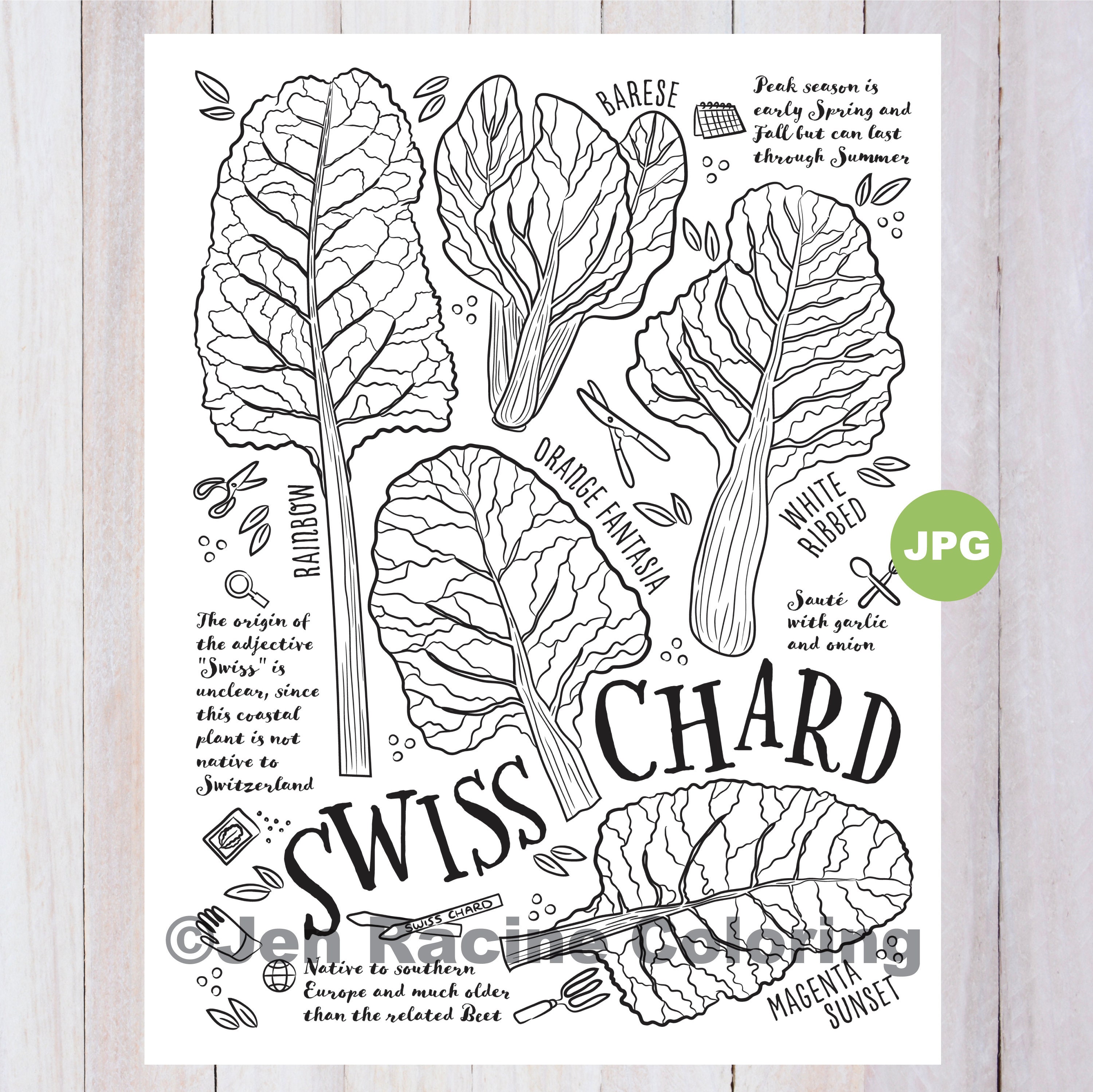 Switzerland Coloring Pages