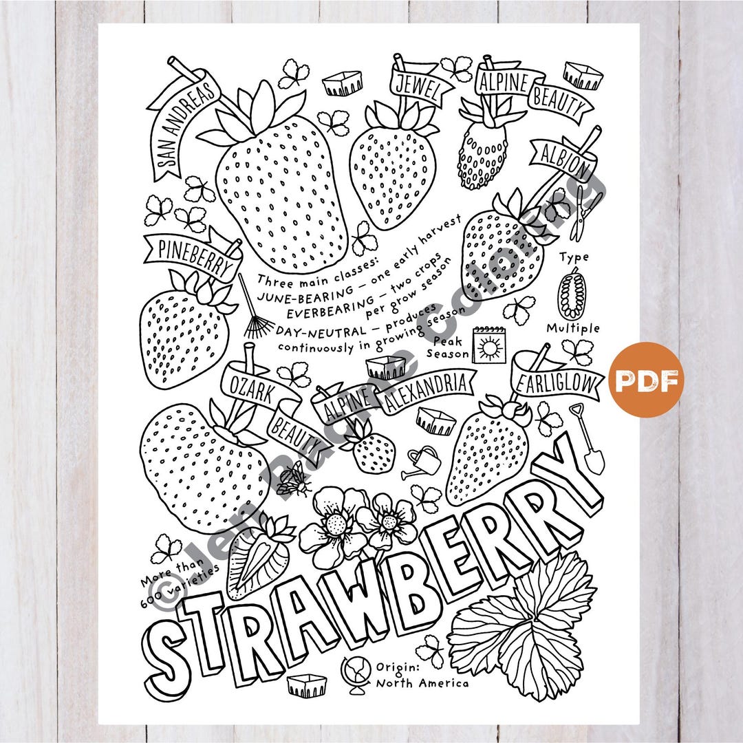 Strawberry Varieties Coloring Page, Educational Fruit Print (PDF ...