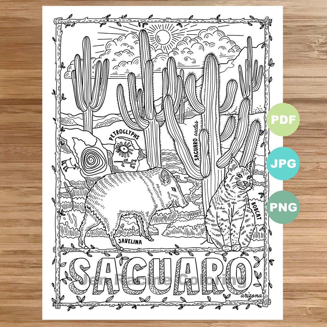 National Park Coloring Page, Saguaro, Arizona, National Park, Landscape ...