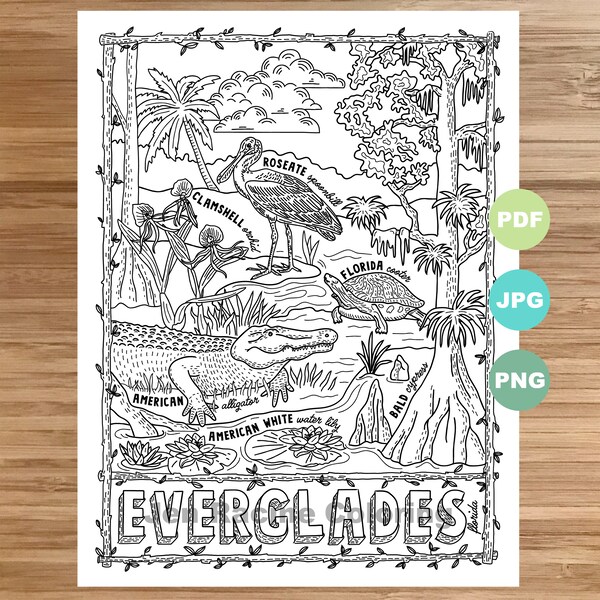 Everglades National Park Printable - Etsy