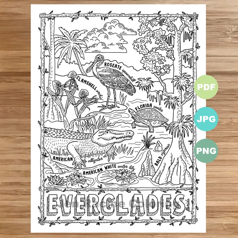 National Park Coloring Page, Everglades, Florida, National Park ...
